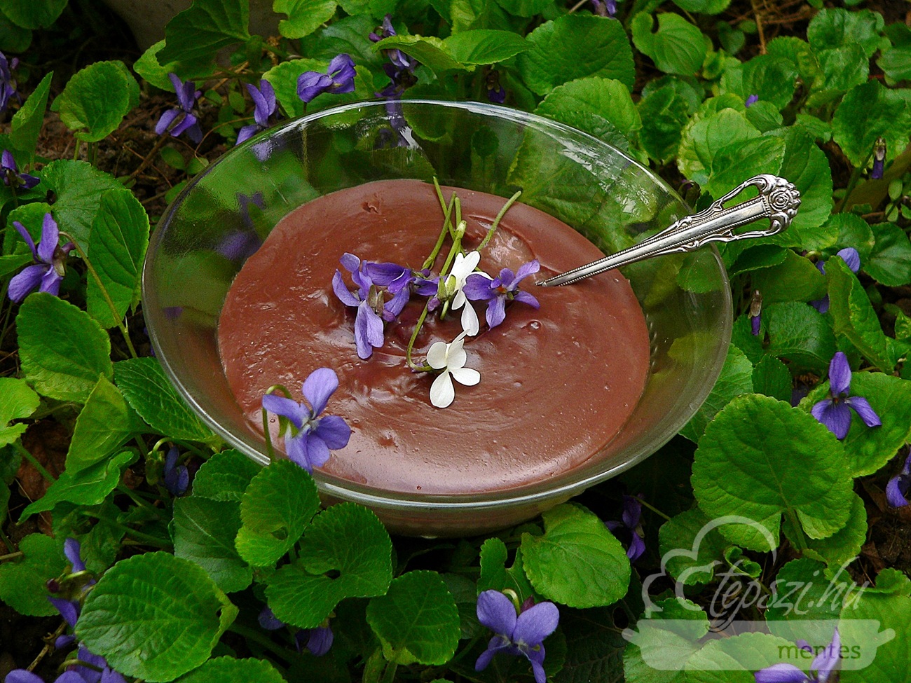 Ibolyás csoki puding – házi puding | Sütök – Főzök, a Tepsziből